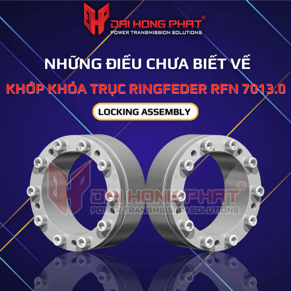 NHỮNG ĐIỀU CHƯA BIẾT VỀ KHỚP KHÓA TRỤC RINGFEDER RFN 7013.0 (LOCKING ASSEMBLY) - Dai Hong Phat Corp